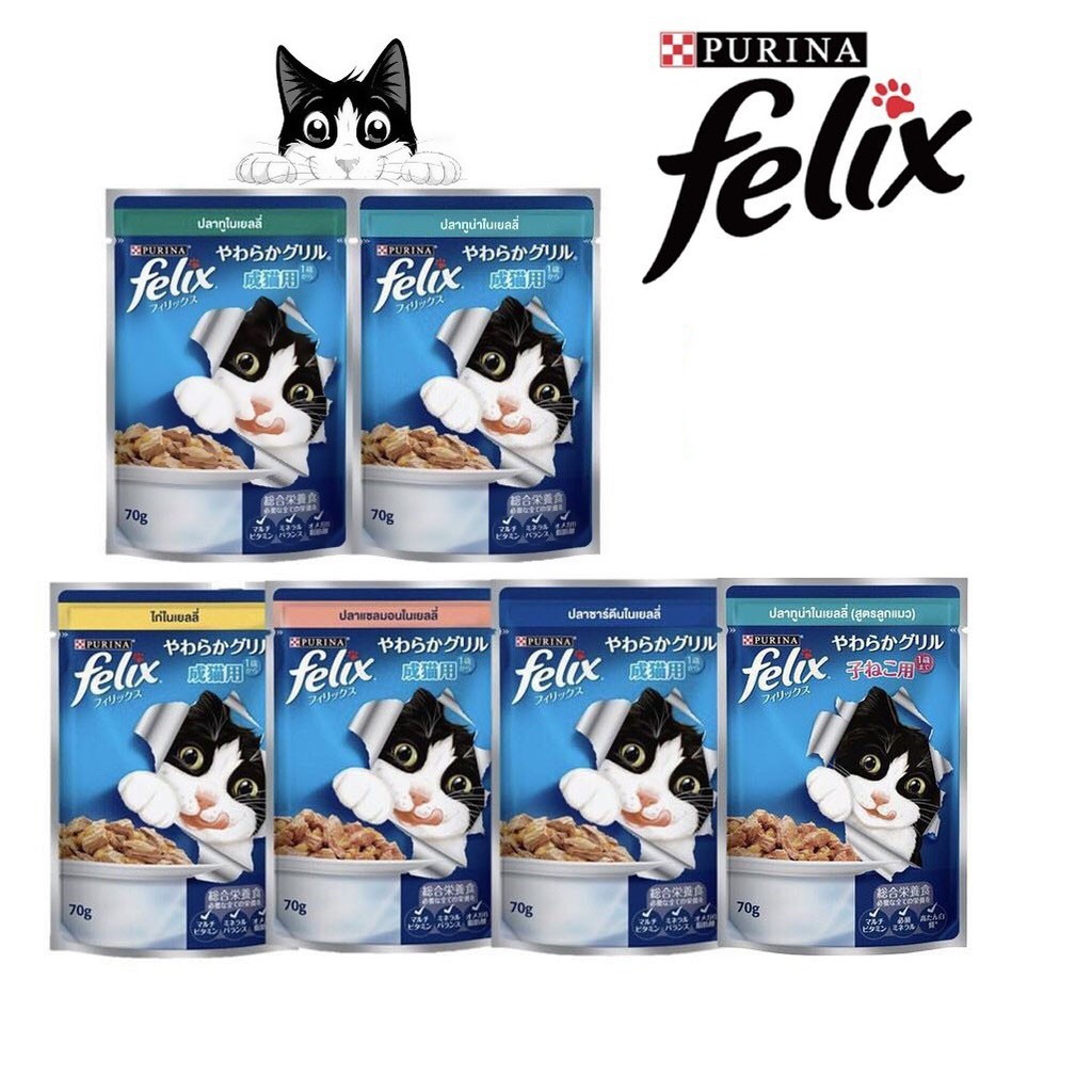 Purina Felix Cat Food Wet Pouch 70g | Shopee Thailand