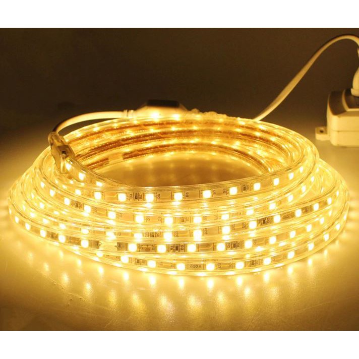 ไฟเส้นพร้อมใช้ LED ROPE LIGHT 5050 with Plug 220VAC and End cap ...