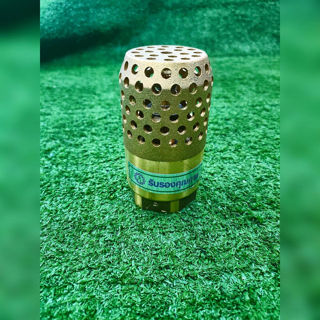 TREETOOLS ฟุตวาล์วทองเหลือง ฟุตวาล์วรังผึ้ง (เกลียวใน) หัวกระโหลกดูดน้ำทองเหลือง | Shopee Thailand