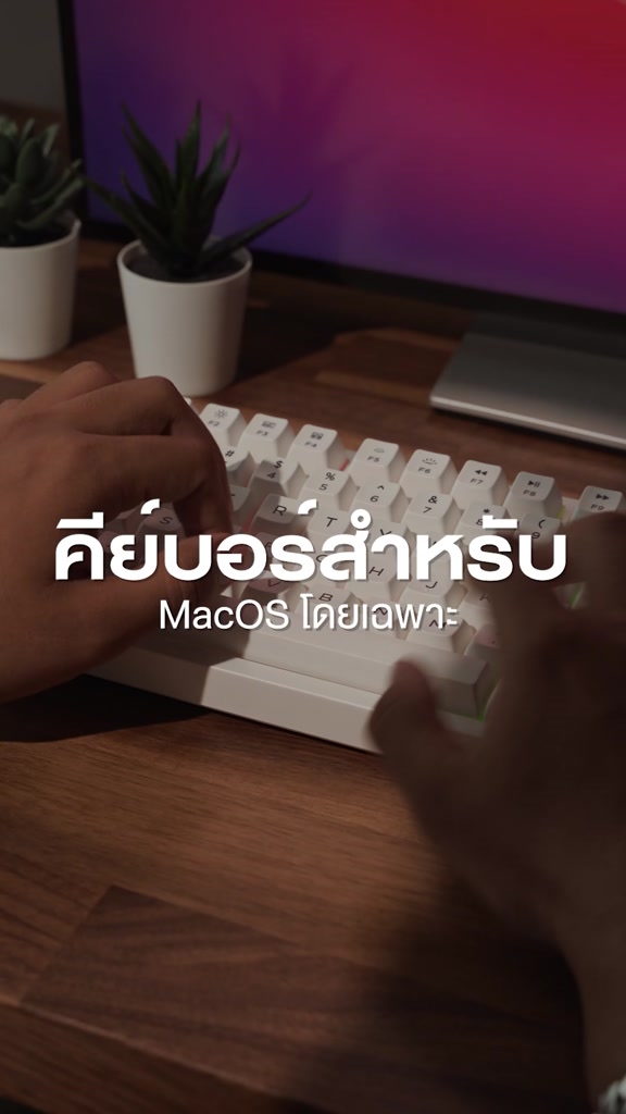 คีย์บอร์ด Akko PC98B Plus Air RGB Hotswap 98% Wireless 2.4G Bluetooth รองรับ Mac Mechanical ...