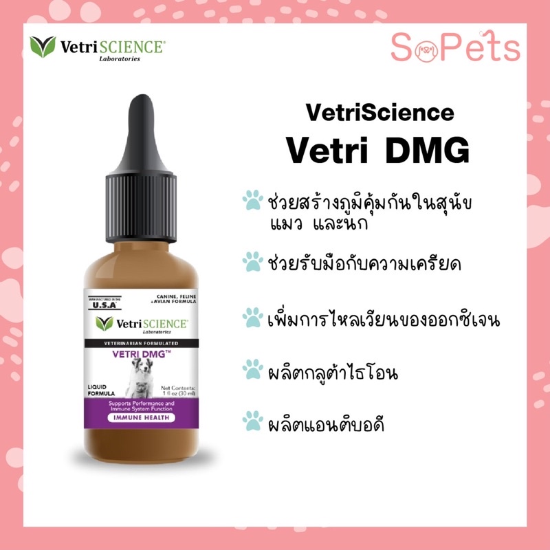 VetriSCIENCE DMG (30), (120) Vetri DMG™ supports immune system เสริม ...