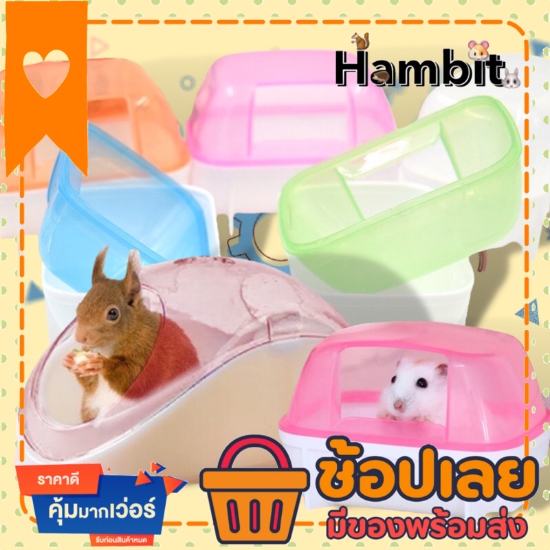 Hambit. ห้องอาบน้ำหนูแฮมสเตอร์ ห้องน้ำหนู ห้องน้ำกระรอก ห้องน้ำเม่นแคระ ...