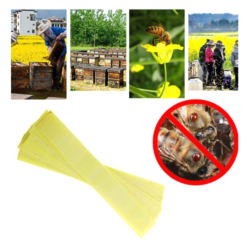 Oke 20 ชิ้นกระเป๋า Varroa Strips Bee Mite Killer Treatment เครื่องมือ ...