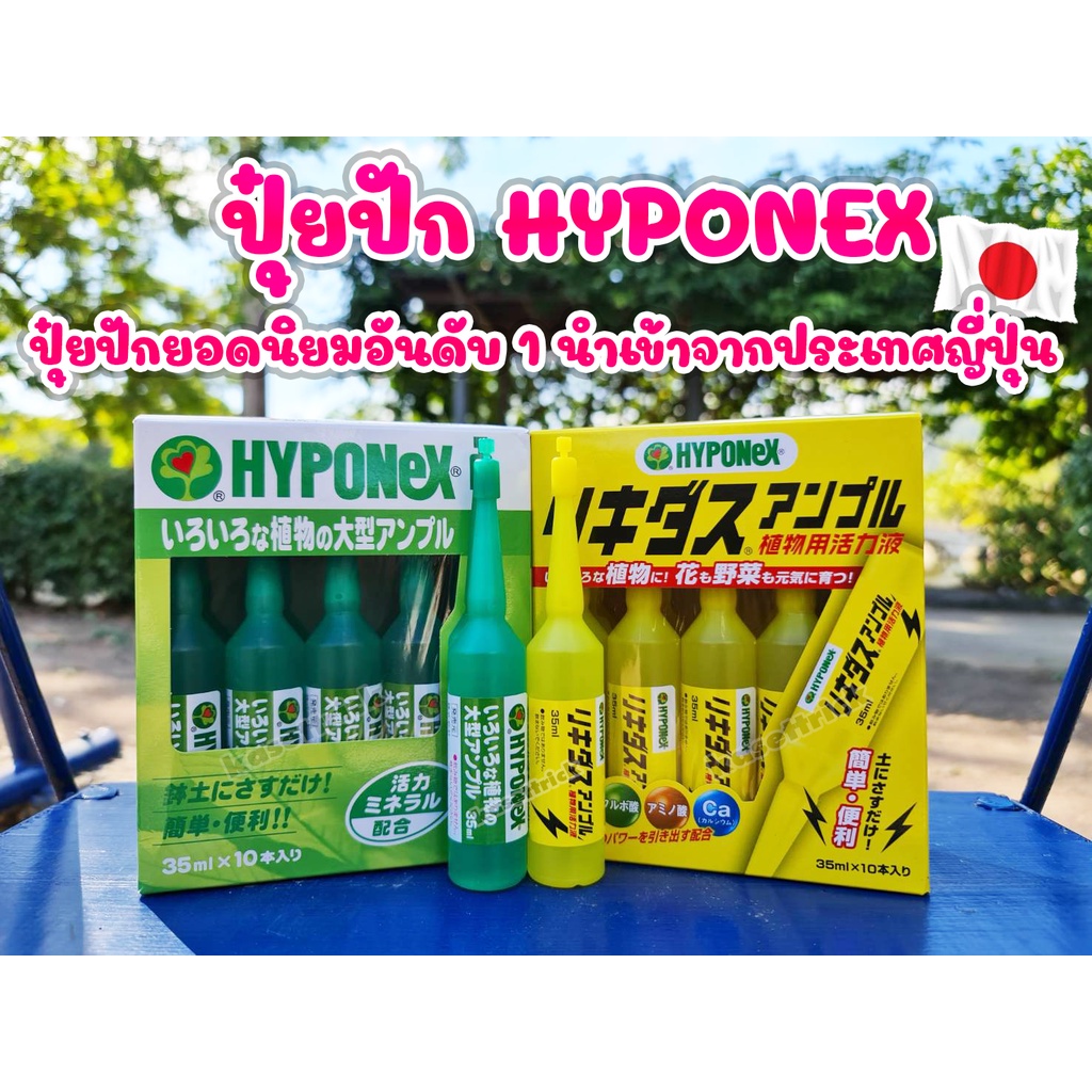 ปุ๋ย Hyponex Ampole (ไฮโพเนกซ์ แอมพิล) ปุ๋ยปัก ปุ๋ยน้ำ ปักลงกระถาง ...
