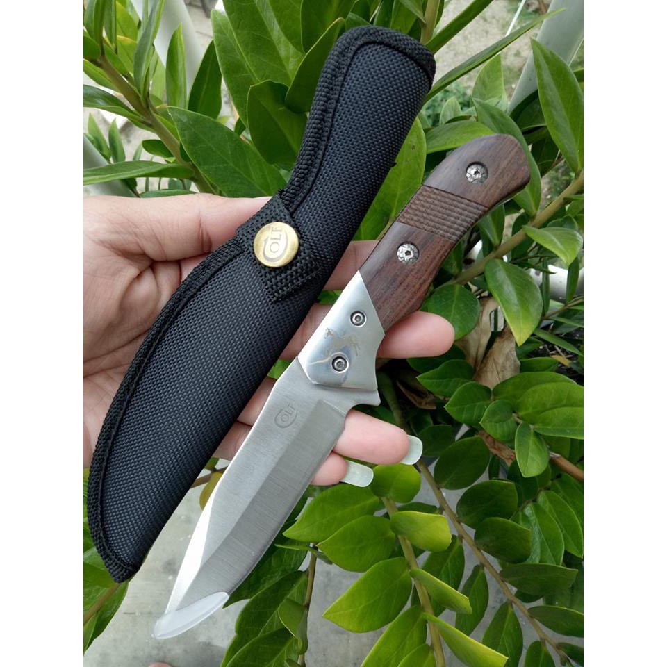 มีดพกใบตาย Colt-CT343 | Shopee Thailand