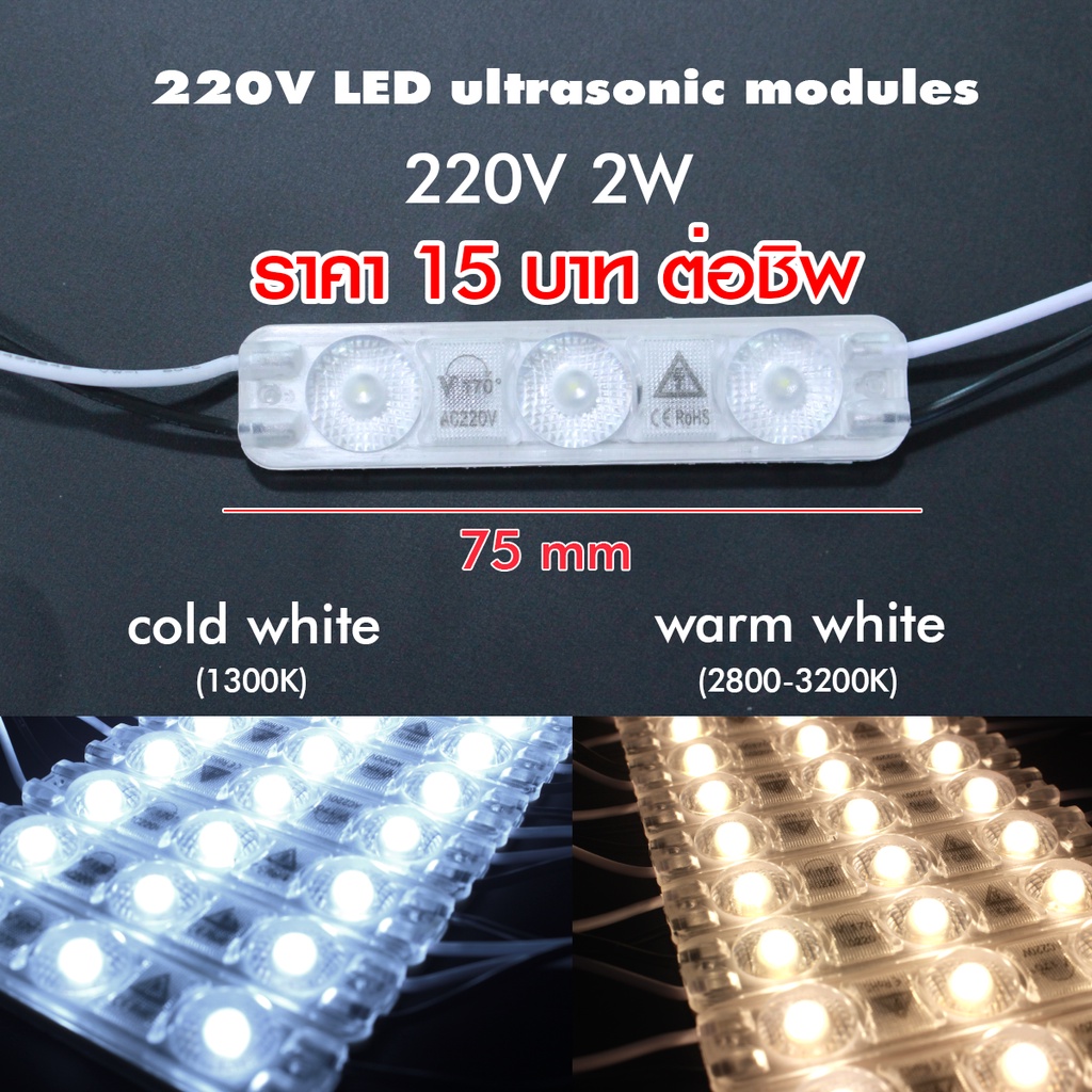 ไฟ LED Injection modules 220V สีขาว,สีวอมร์ไวท์และสีส้ม (ขายเป็นชิพ ...