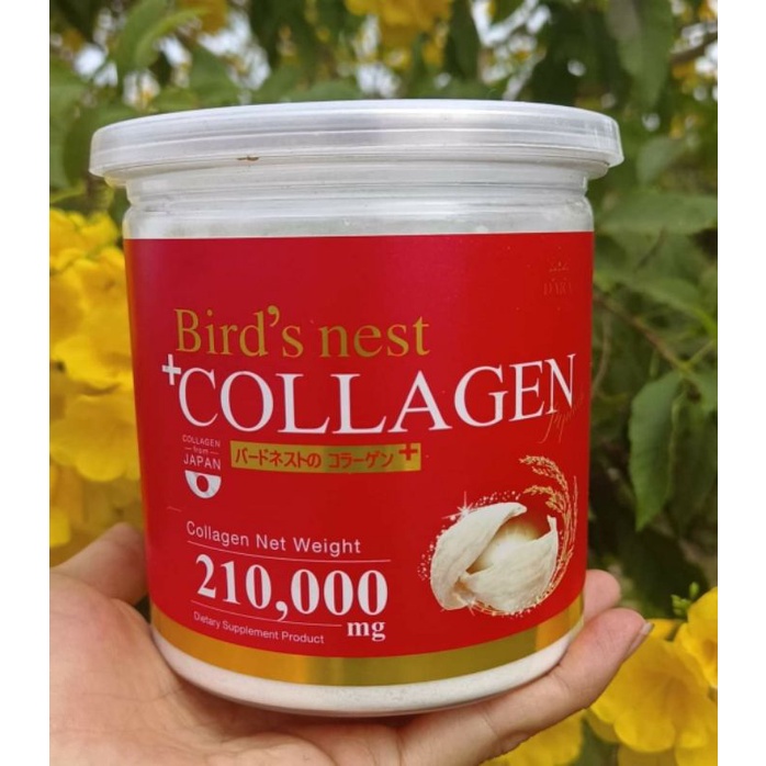 𝑫𝑨𝑹𝑨 𝑩𝑰𝑹𝑫'𝑺 𝑵𝑬𝑺𝑻 𝑪𝑶𝑳𝑳𝑨𝑮𝑬𝑵 | Shopee Thailand