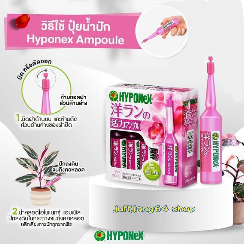 ปุ๋ยปัก HYPONEX แอมเพิล สีชมพู สุดฮิต!!!จากญี่ปุ่น ขนาด 35ml.10 หลอด/กล่อง พร้อมส่ง | Shopee ...