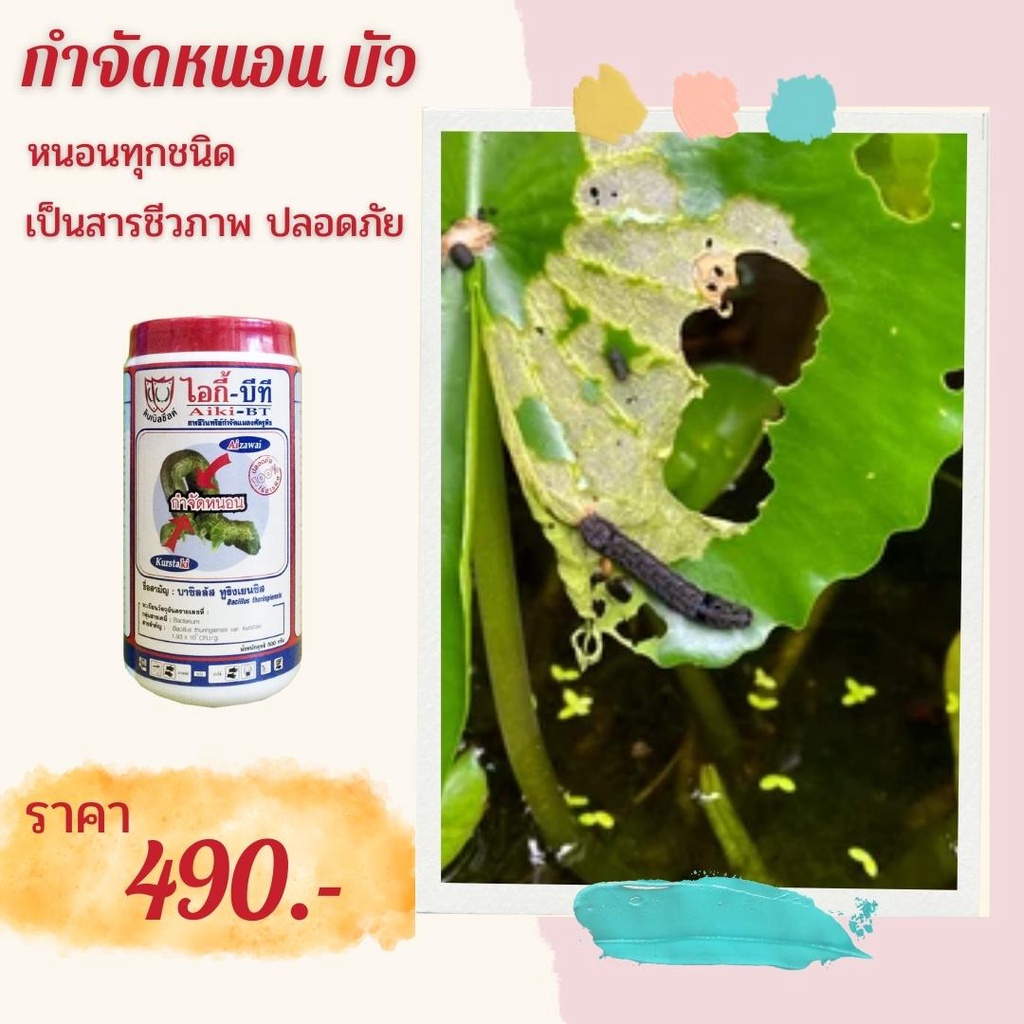 กำจัดหนอน บัว หนอนศัตรูพืชทุกชนิด ปลอดสารพิษ ไอกี้และ FK-T(ใช้ได้ทุกพืช)โดย FK | Shopee Thailand