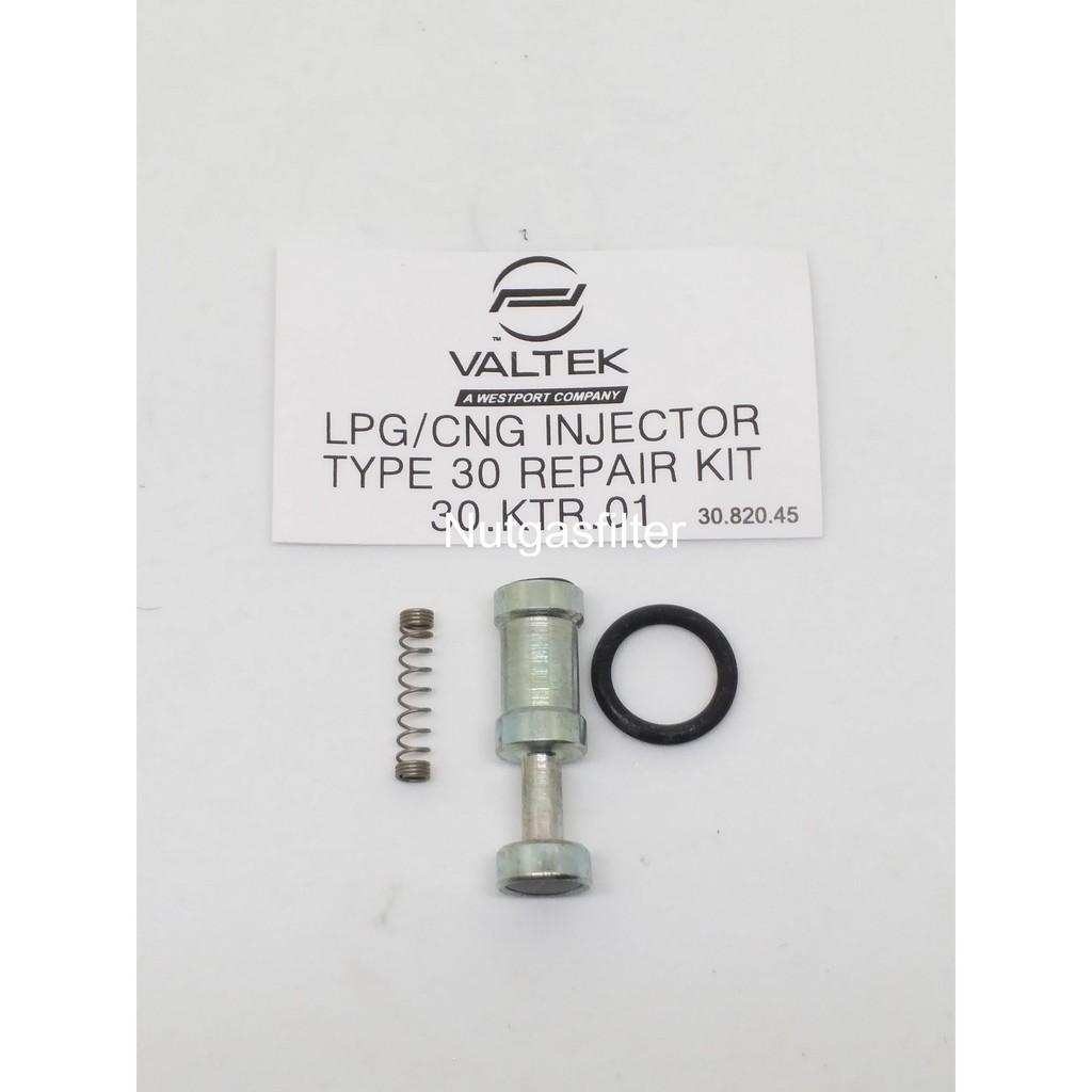 ชุดซ่อมรางหัวฉีด Valtek x 1 | Shopee Thailand