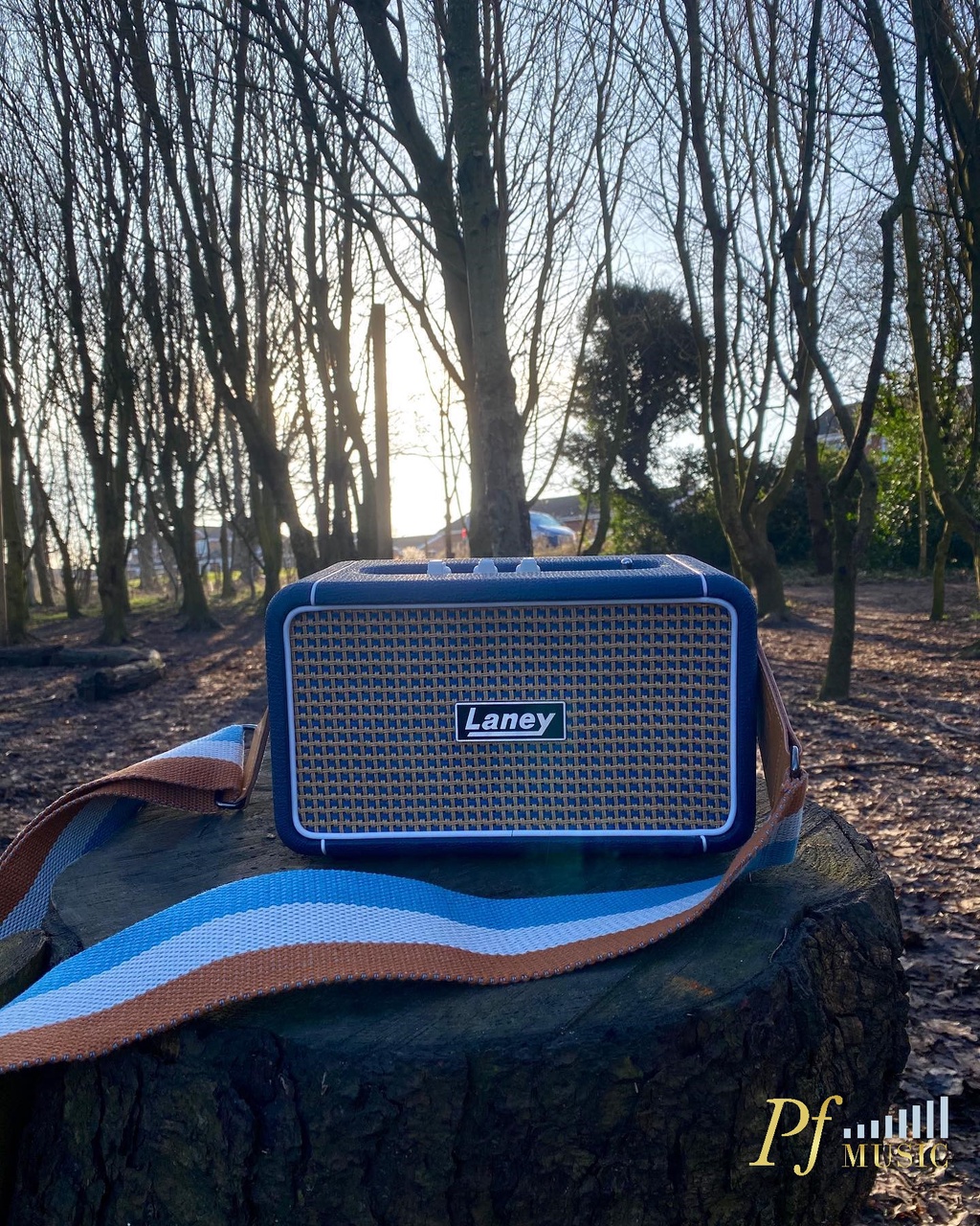 LANEY F67 - LIONHEART Portable Bluetooth Speaker | Shopee Thailand