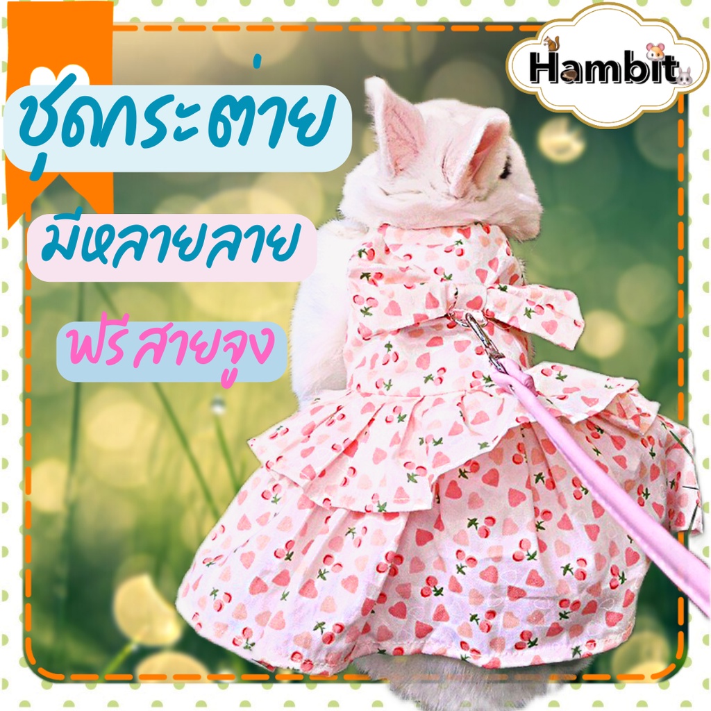 Hambit ชุดกระต่าย เสื้อผ้ากระต่าย ชุดกระต่ายพร้อมสายจูง ไซส์ M,L ชุดแพร ...