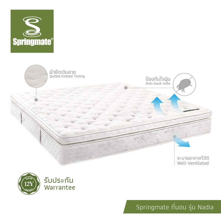 [ผ่อน 0% ส่งฟรีทั่วไทย] Springmate ที่นอนรุ่น Nadia (นุ่มฟิน) แถมฟรี !! หมอนหนุนสุขภาพกันไรฝุ่น ...
