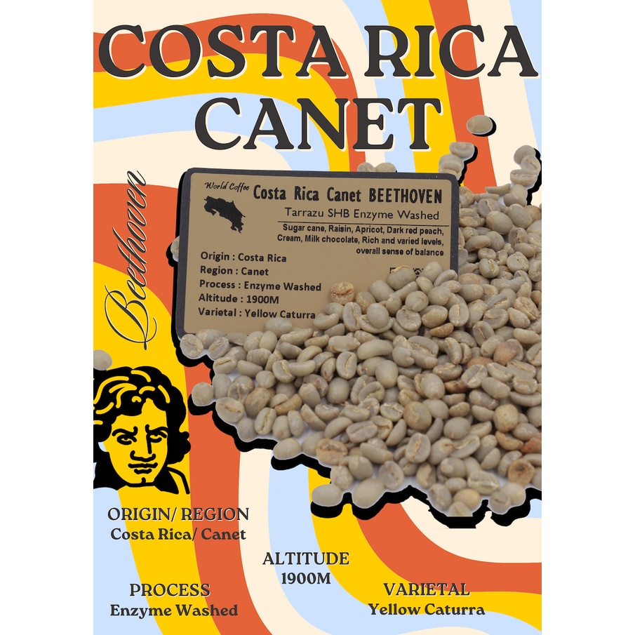 พร้อมส่ง เมล็ดกาแฟดิบ Costa Rica Canet BEETHOVEN Tarrazu SHB Enzyme ...