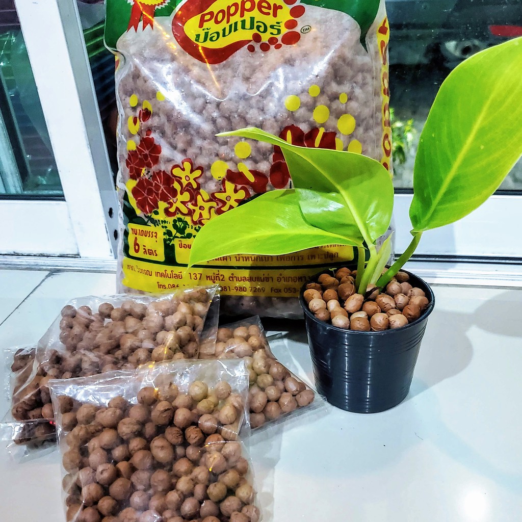 เม็ดดินเผา Popper หินป๊อปเปอร์ แบ่งขาย 50g ใช้โรยหน้ากระถาง ตกแต่ง ...