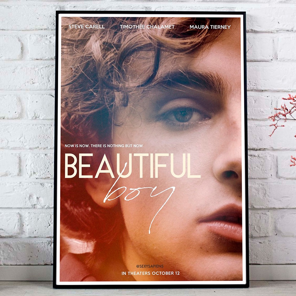 Beautiful Boy Poster (2018) แด่ลูกชายสุดที่รัก Timothee Chalamet, Steve ...