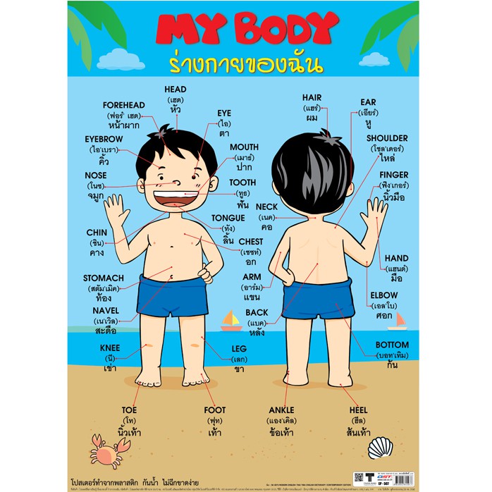 โปสเตอร์เรื่องร่างกายของฉัน My Body #EP-507 โปสเตอร์พลาสติก | Shopee ...