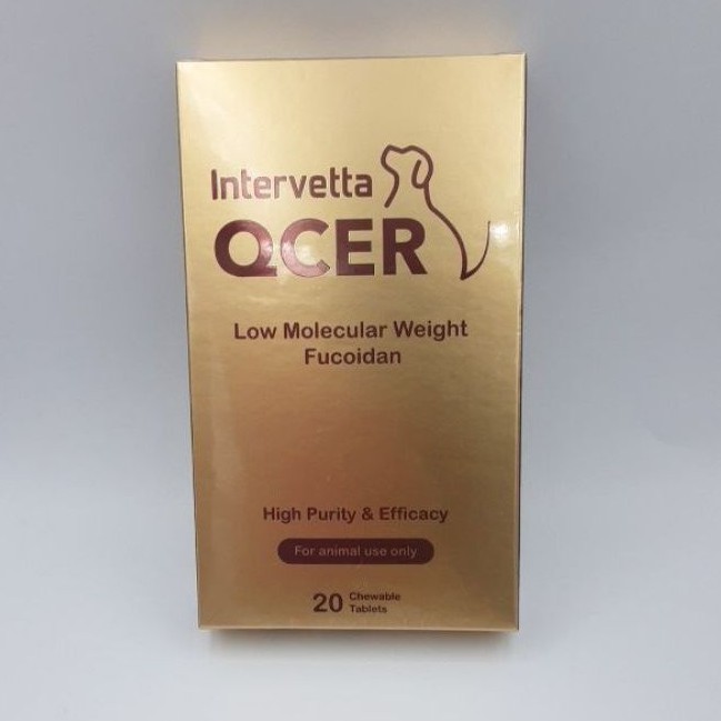 QCER ผลิตภัณฑ์ต่อต้านมะเร็งและเสริมภูมิคุ้มกัน 20 เม็ด/กล่อง | Shopee Thailand