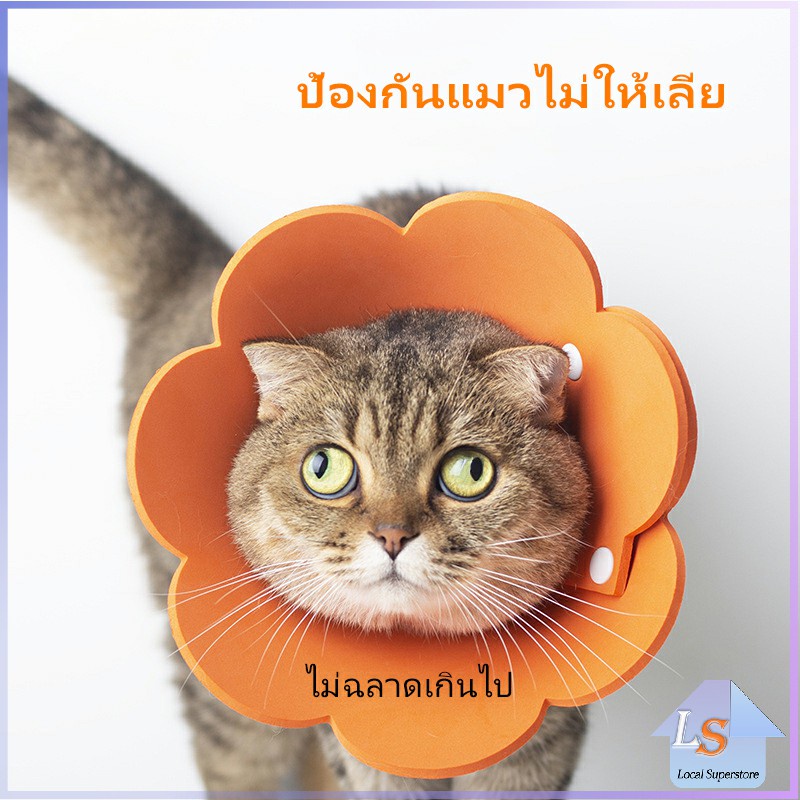 ปลอกคอดอกไม้ ลำโพงกันเลีย คอลล่าแมว คอลล่าสุนัข Cat coll | Shopee Thailand
