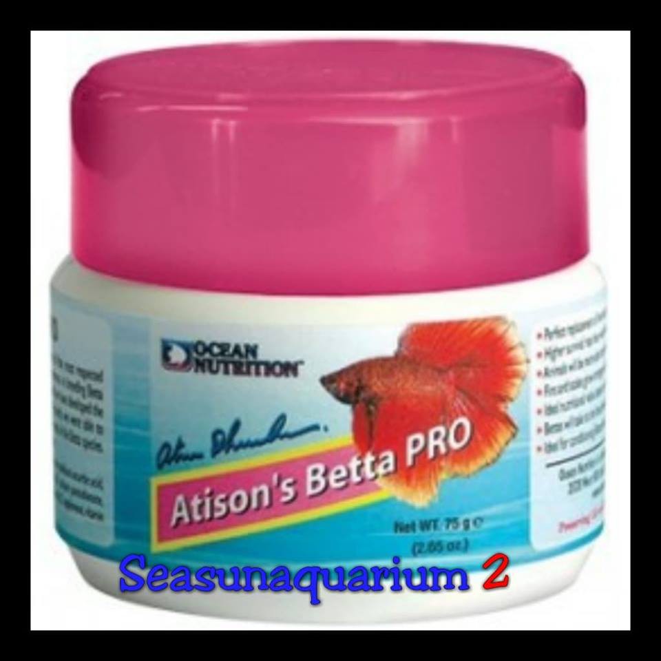 Atison's Betta อาหารปลากัด Pro กระป๋องใหญ่ 75g | Shopee Thailand