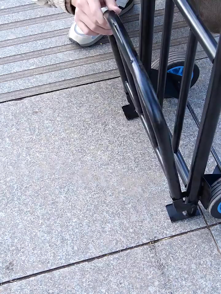 FBS รถเข็น รถเข็นของ รถเข็นอเนกประสงค์ พับได้ 2ล้อ ทนทาน พกพาสะดวก รับ ...