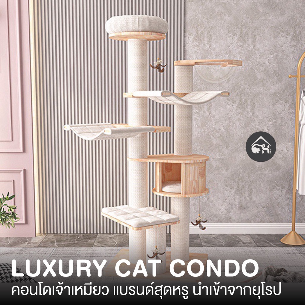 HONEYPOT CAT LUXURY OAK CAT TREE CAT CONDO คอนโดแมวสุดหรู ทำจากไม้โอ๊ค ...
