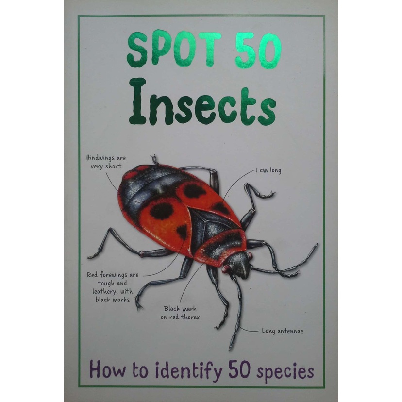 Spot 50 insects, wildflowers, birds, butterflies, trees หนังสือมือสอง ...