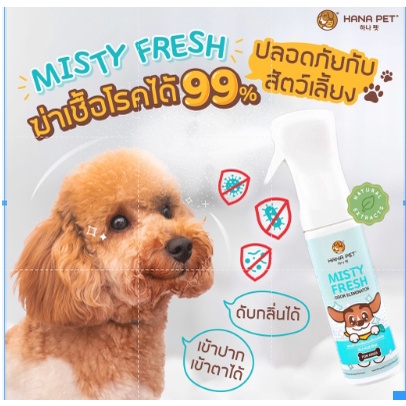 Hana Pet สเปรย์กำจัดกลิ่น Misty Fresh กำจัดเชื้อโรค ดับกลิ่น ทรายแมว ของเล่น ที่นอน ขนาด 300 ml ...