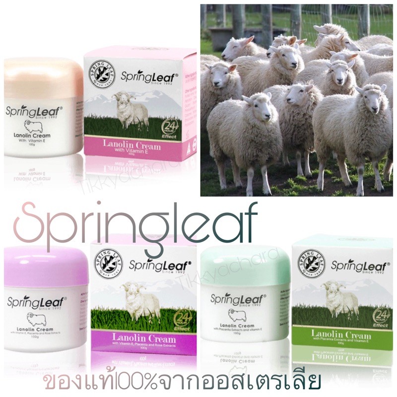 ล็อตใหม่🐑ของแท้100%🐏ครีมรกแกะ พร้อมส่ง Spring leaf lanolin cream จากออสเตรเลีย มี3สูตร | Shopee ...