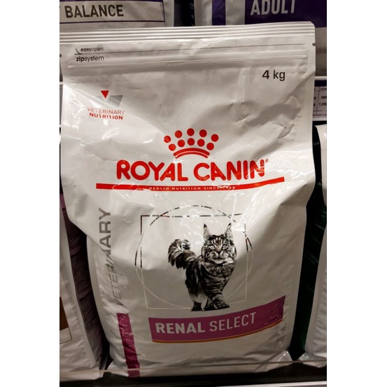 Royal Canin RENAL SELECT FELINE 4 kg อาหารแมวโรคไตสำหรับแมวกินยาก exp ...