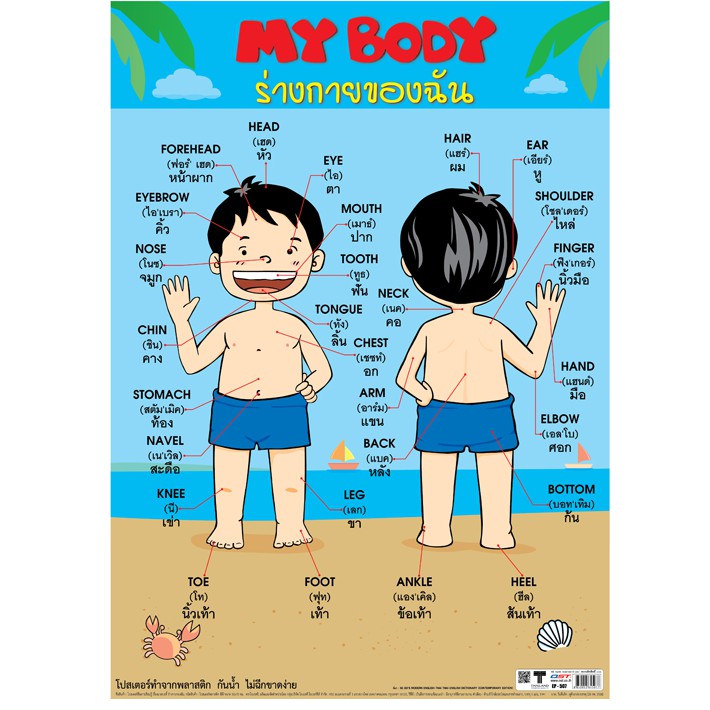 โปสเตอร์เรื่องร่างกายของฉัน My Body #EP-507 โปสเตอร์ PP | Shopee Thailand