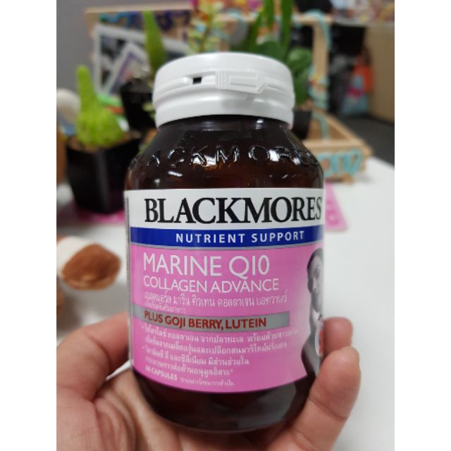 blackmores marine q10 60 เม็ด | Shopee Thailand