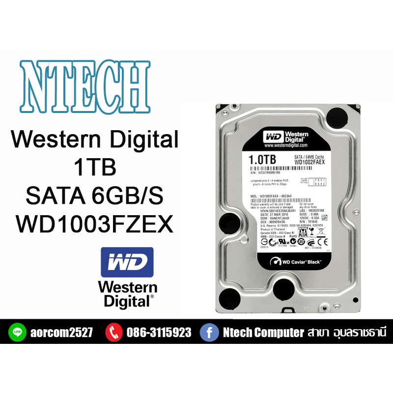 1 TB HDD WD BLACK (7200RPM, 64MB, SATA-3, WD1003FZEX) | Shopee Thailand