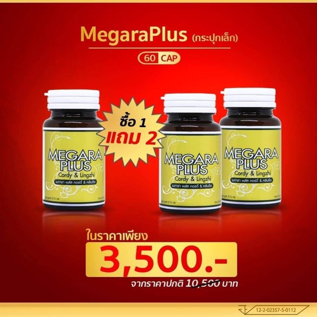 Megara Plus เมการ่าพลัส ถังเฉ้าแท้สกัดผสมหลินจือ ชุด 3,500 บาท | Shopee ...