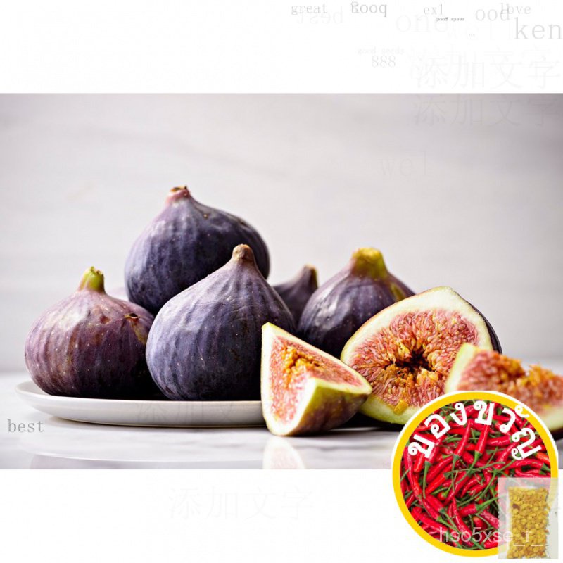 Tropical Fig Seed [1000pcs] ผลมะเดื่อ, มะเดื่อ, ลูกมะเดื่อเมล็ด Biji ...