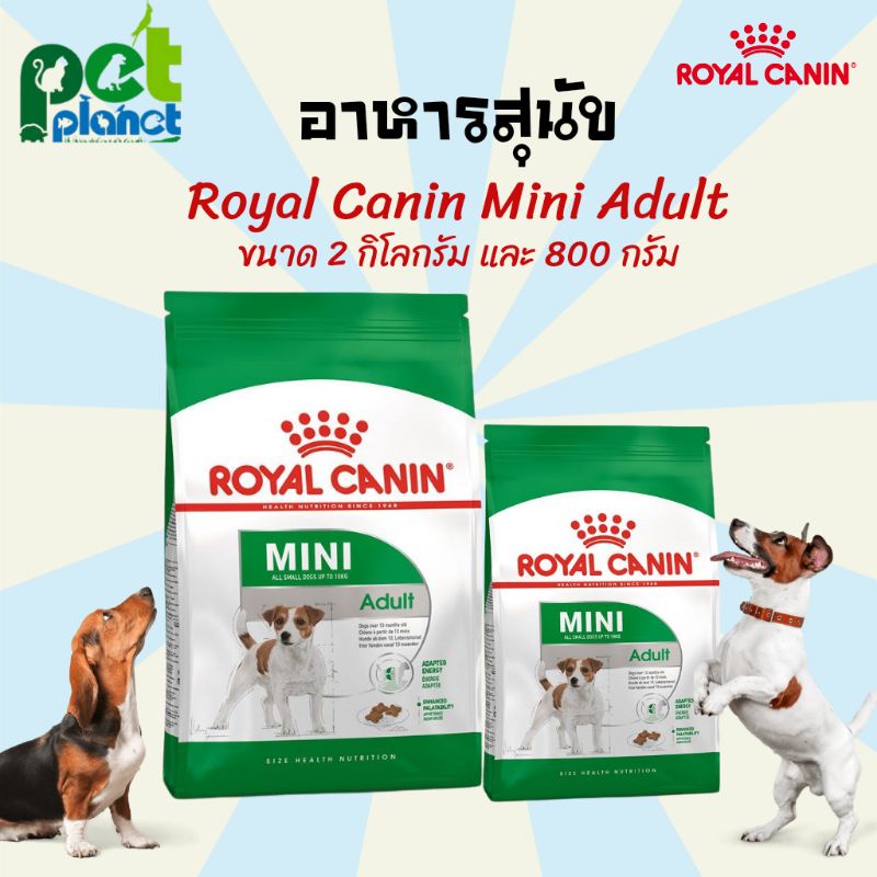 [4kg.][2kg.][800g.] อาหารสุนัข Royal Canin Mini Adult โรยัลคานิน อาหารสำหรับ สุนัข สุนัขทุกสาย ...