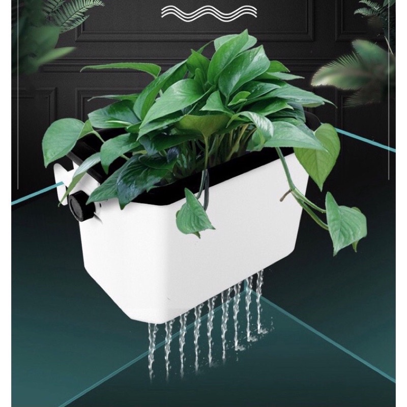 Hanging Filter ระบบกรองมินิ มาพร้อมตัวกรองและกล่องแขวน รวมใยกรองฟองน้ำ ...