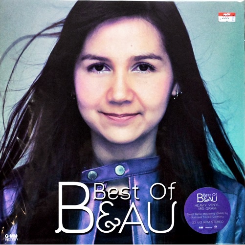 แผ่นเสียง เพลงไทย Best of Beau ( LP new ) | Shopee Thailand