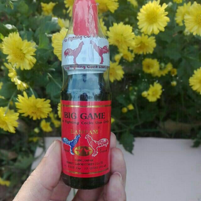 ลำปำ บิ๊กเกม์ ยาไก่ชน ยาโด็ปบิ๊กเกม | Shopee Thailand