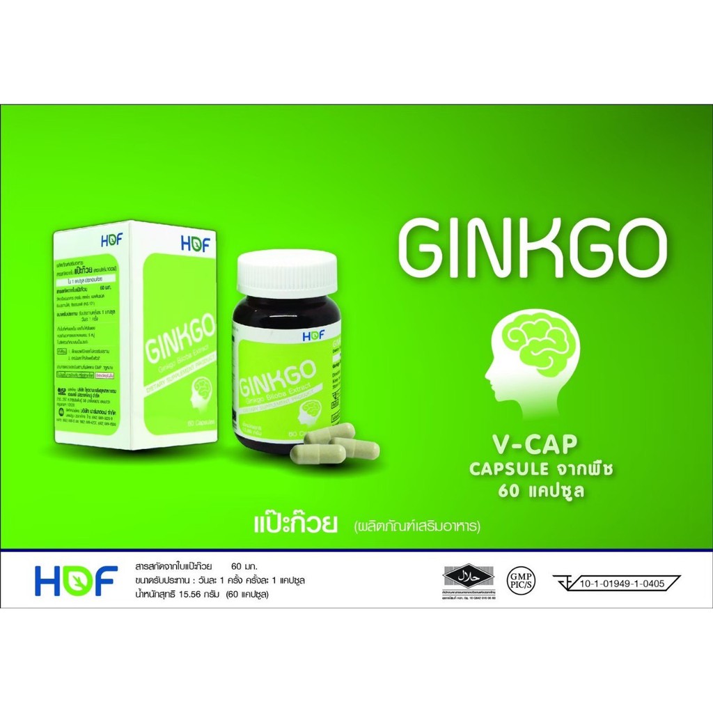 HOF Ginkgo สารสกัดจากใบแป๊ะก๊วย | Shopee Thailand