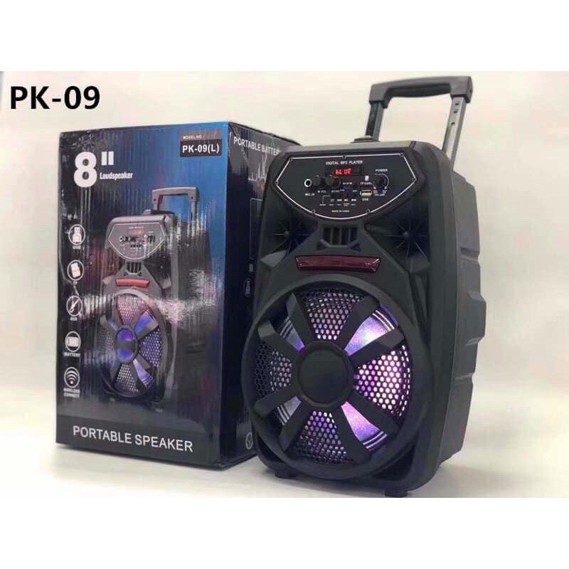 ลำโพงบลูทูธเสียงดี PK09 ปรับไมค์ได้ ลำโพงคาราโอเกะ ปรับแอคโค่ได้ (แถม ...