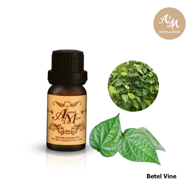 Aroma&More Betel Vine Leaf Essential Oil 100% / น้ำมันหอมระเหยใบพลู 100% Thailand 5/10/30ML ...