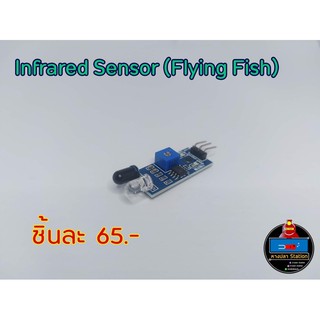 โมดูล Infrared Sensor (Flying Fish) | Shopee Thailand
