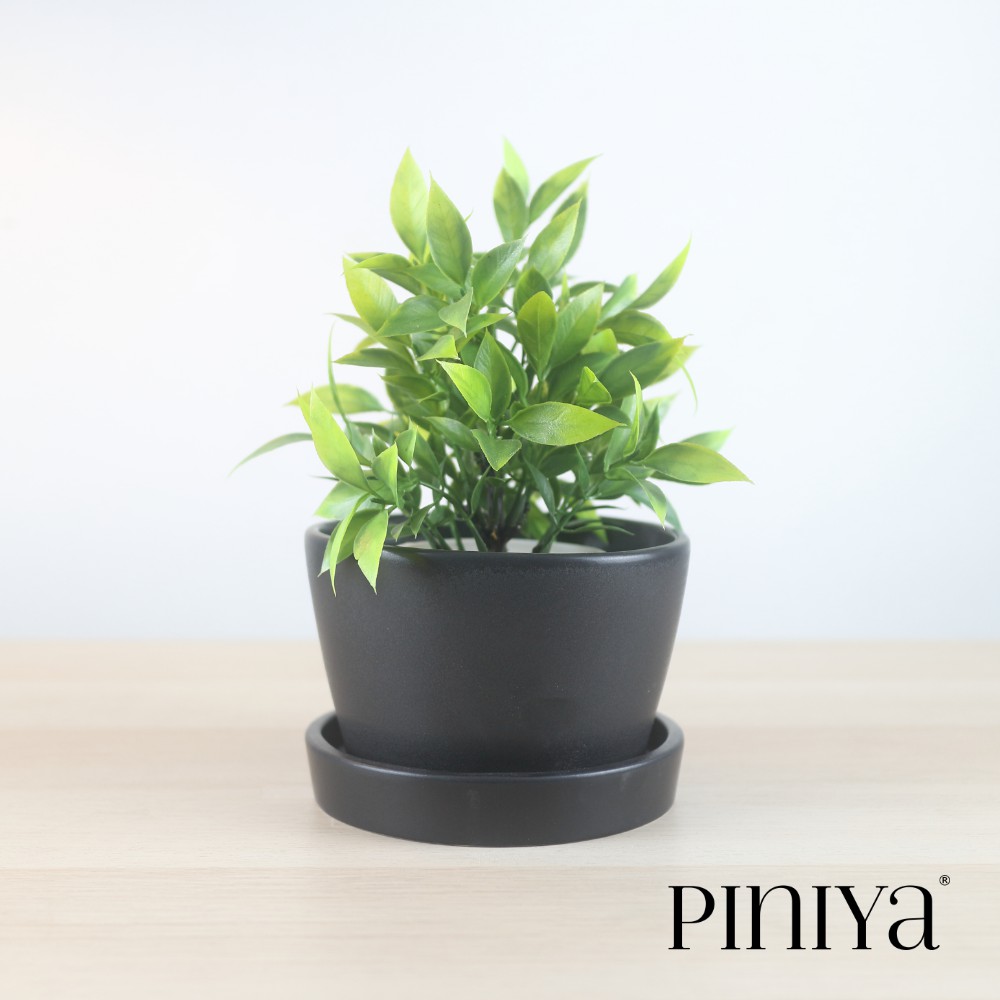 Piniya พินิยา - Kaelang เขลางค์ กระถางต้นไม้, เซรามิก สโตนแวร์, 14ซม. ...