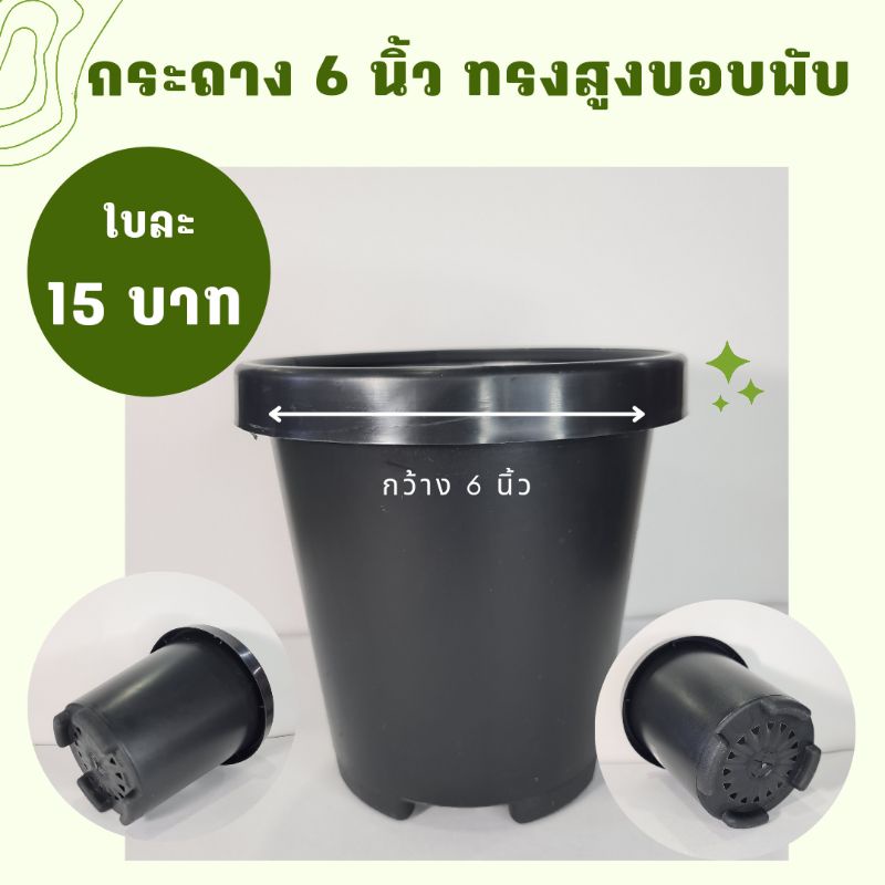 กระถาง 6 นิ้ว ทรงสูงขอบพับ | Shopee Thailand