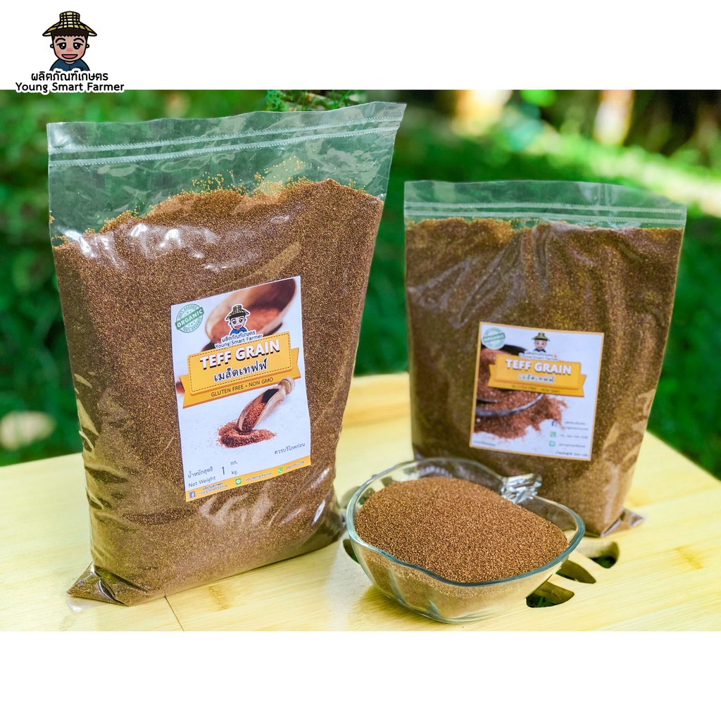Teff grain เมล็ดเทฟฟ์ ออร์แกนิค 1 Kg.(Teff Seed) | Shopee Thailand