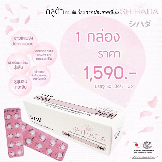 Shihada 1 กล่อง | Shopee Thailand
