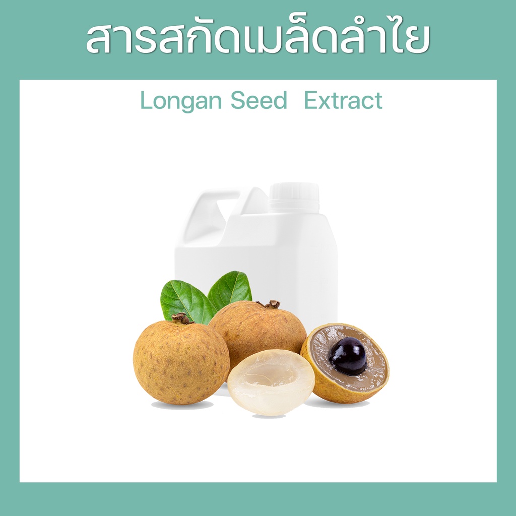 สารสกัดเมล็ดลำไย Longan Seed Extract ( Dimocarpus longan seed ) ชนิดน้ำ ...