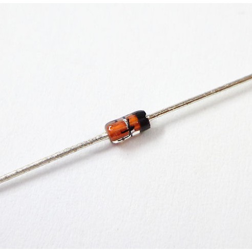 1N60 IN60P Schottky Barrier Diode 5 ชิ้น | Shopee Thailand