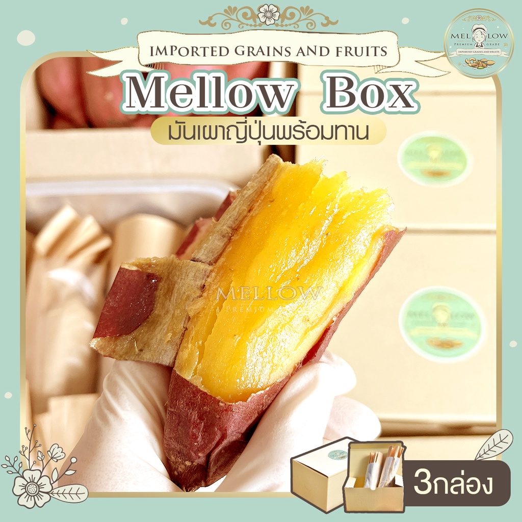 Mellow Box มันหวานญี่ปุ่น เผา 3 กล่อง มันหวาน เบนิฮารุกะ | Shopee Thailand